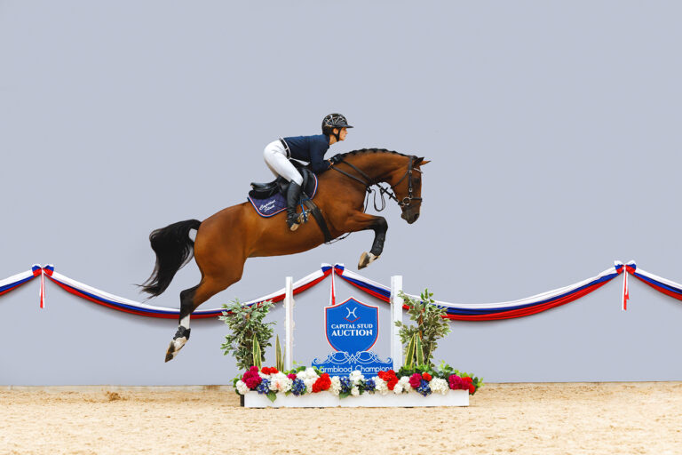 16 CAPITAL MON'AMI | Capital Stud
