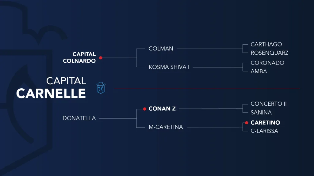 13 CAPITAL CARNELLE | Capital Stud